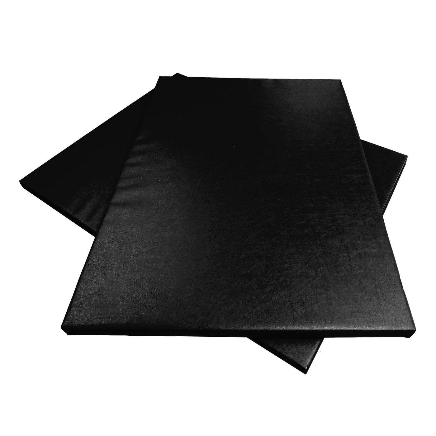 Resilite Hybrid Mat for MMA, Jiu-Jitsu, and Defensive Tactics Training