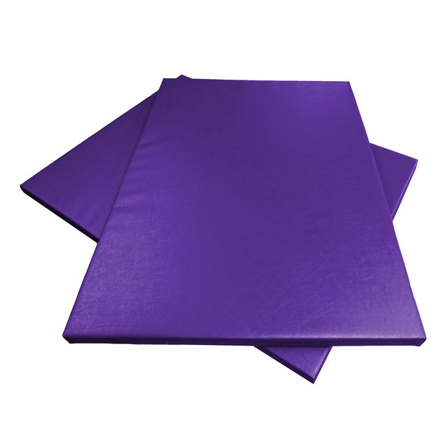 Resilite Hybrid Mat for MMA, Jiu-Jitsu, and Defensive Tactics Training ...